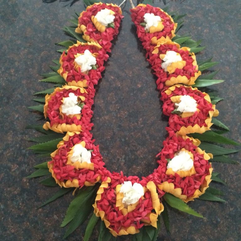 National Flower of Tonga | Heilala Flower of Tonga | National Flowers ...