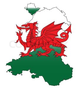 National Flower of Tonga | Heilala Flower of Tonga | National Flowers ...